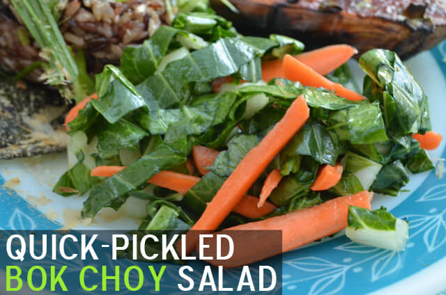 Quick Pickled Bok Choy Salad » Mary Makes Good